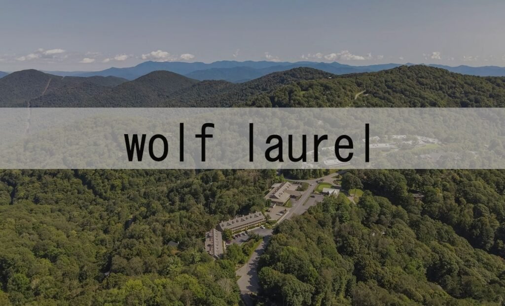 Wolf Laurel: The Beautiful but Deadly Plant in Your Backyard - My USA Wire